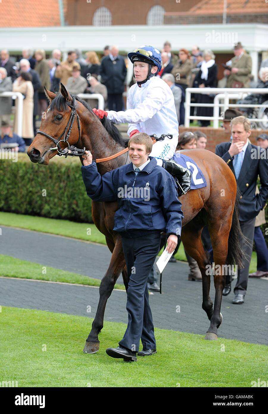 Art connoisseur hi-res stock photography and images - Alamy