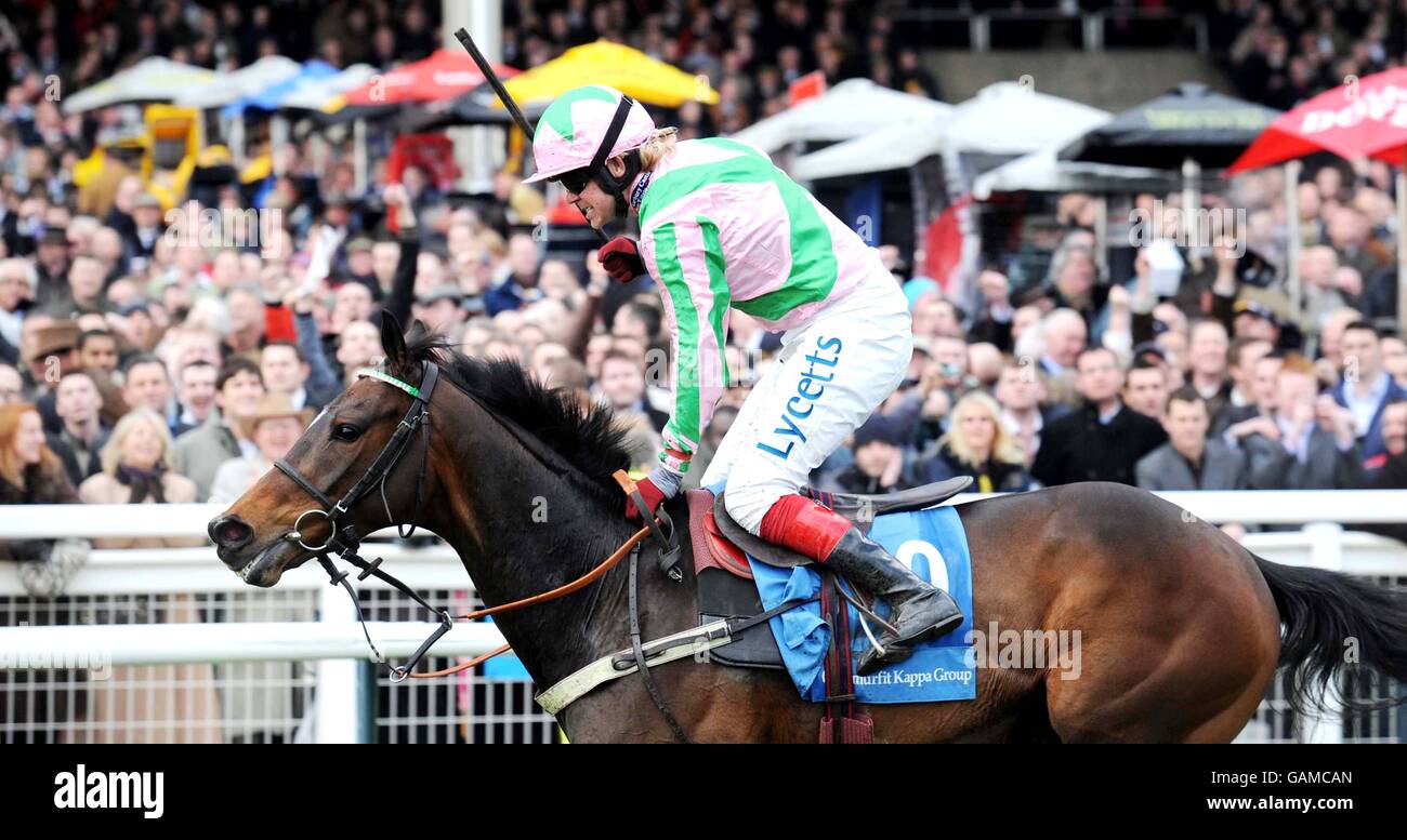 Katchit horse hi-res stock photography and images - Alamy