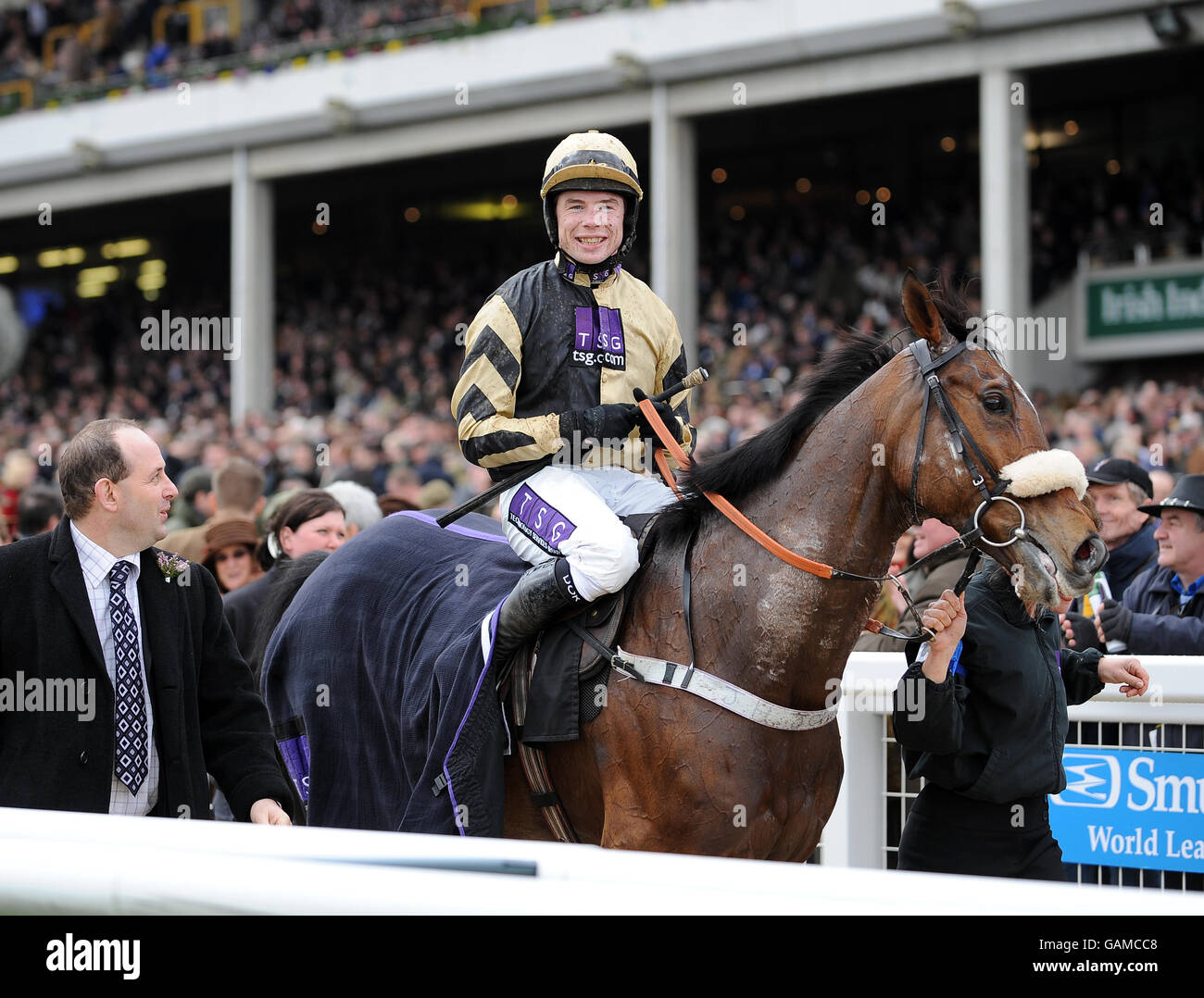 Denis O'Regan on Tidal Bay winners of The Irish Independent Arkle ...