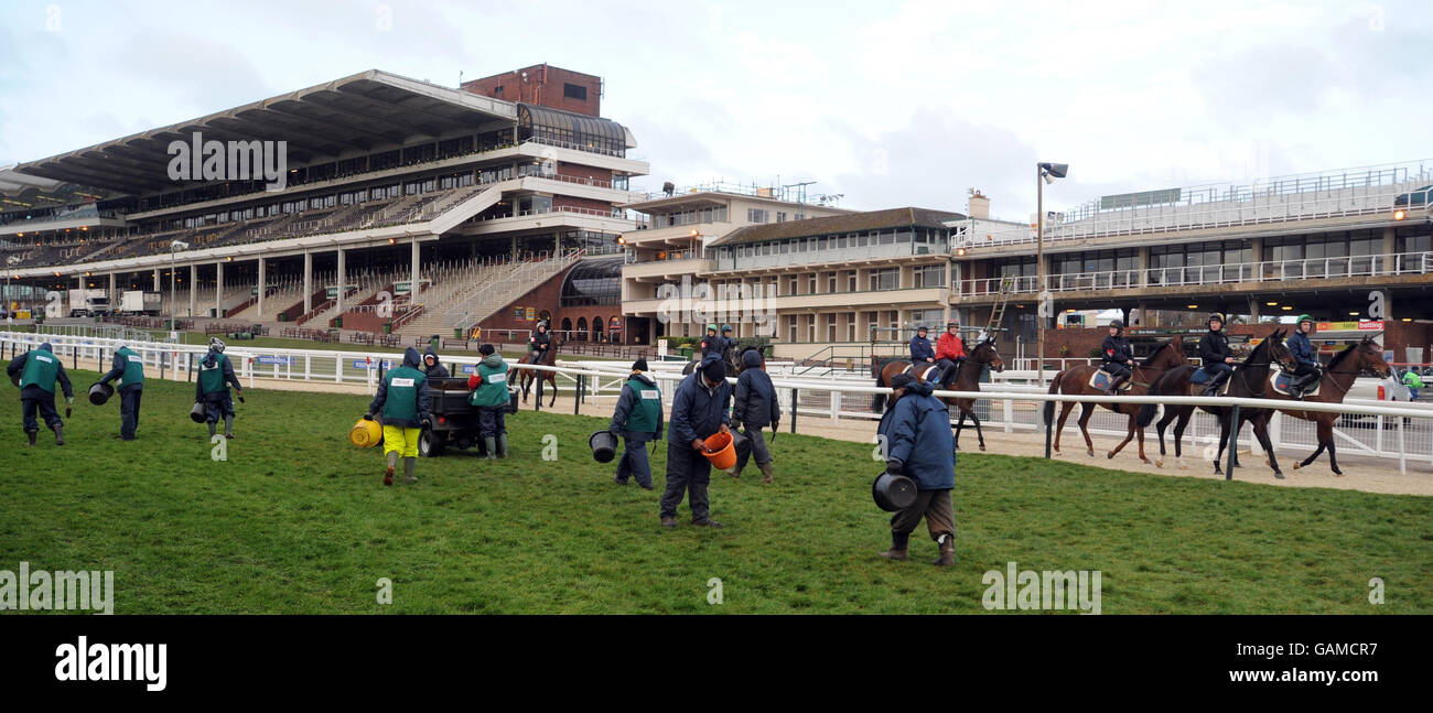 Horse Racing - Cheltenham Festival - Day Two - Cheltenham Racecourse ...