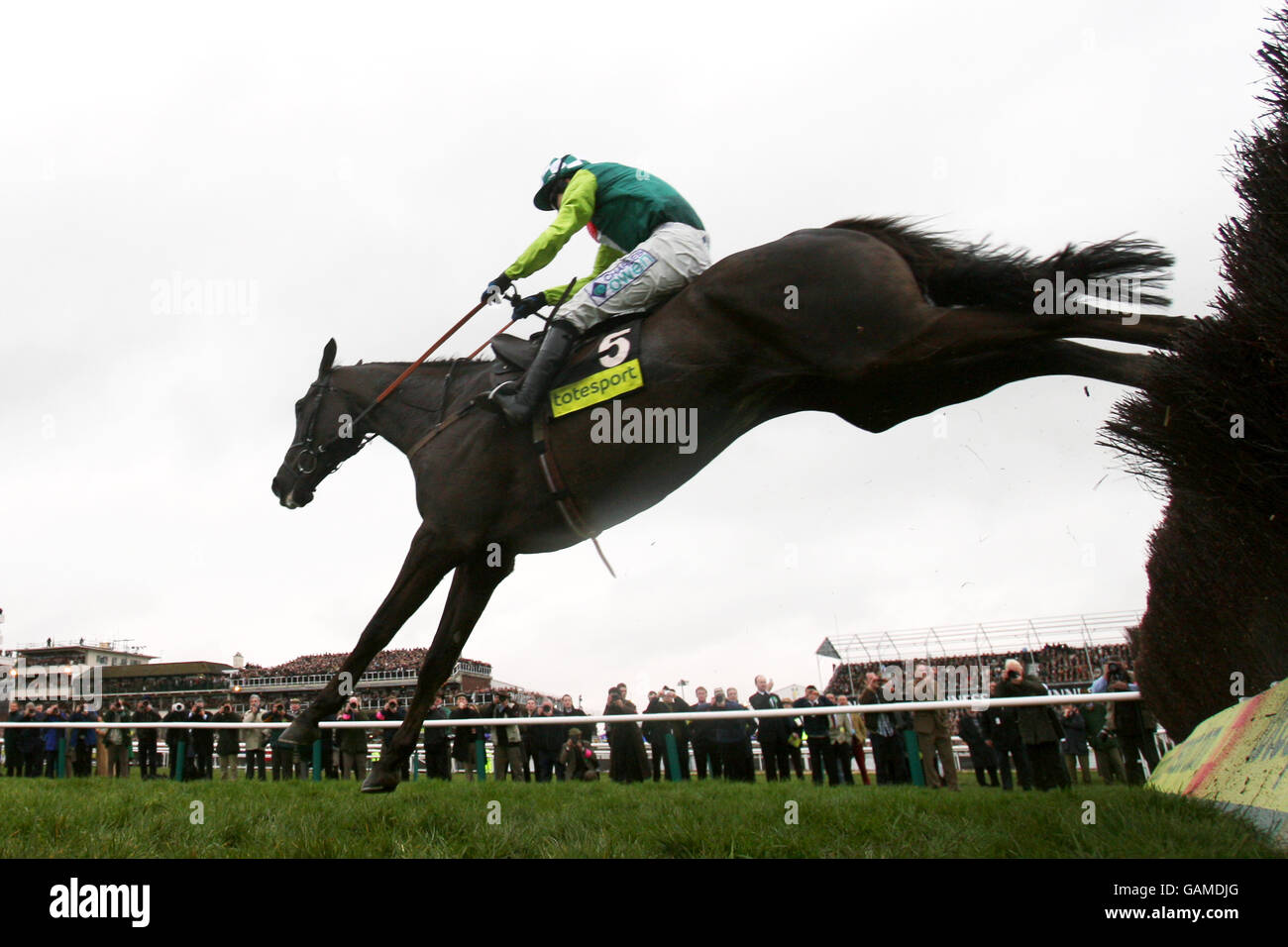 Horse racing full length cheltreview08 hi-res stock photography and ...