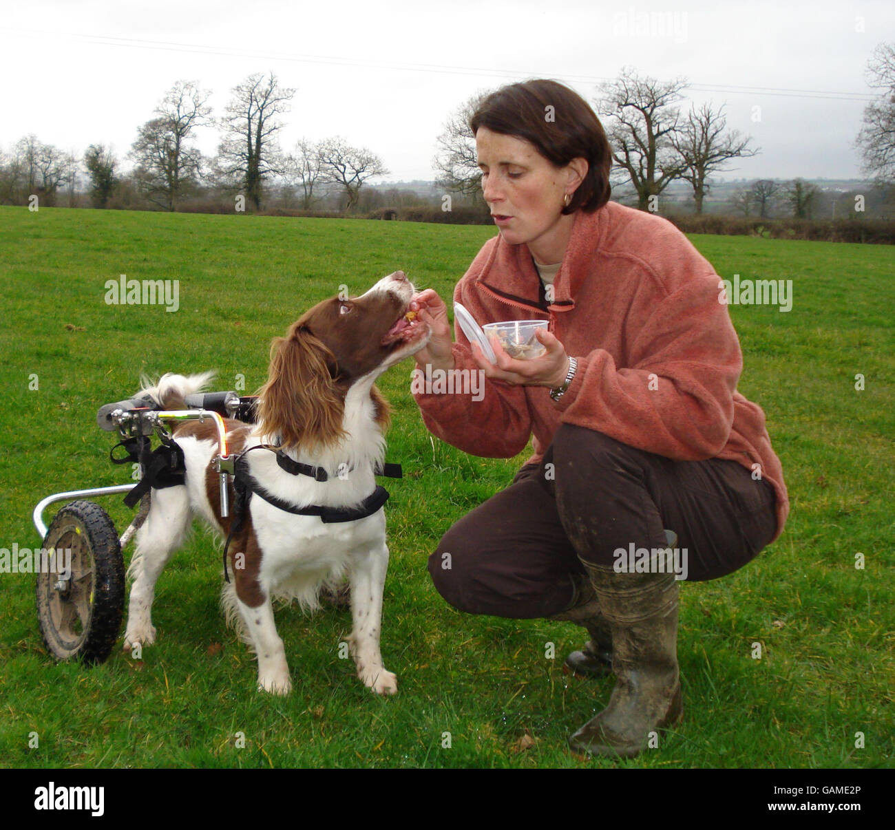 Max, the retired police drug sniffer dog who regularly patrols his new ...