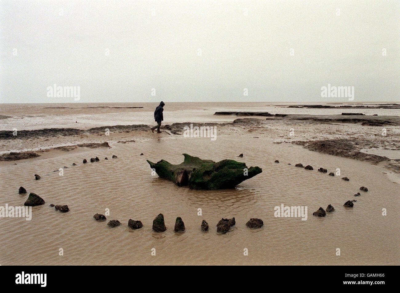 File image, dated 14-01-1999. The ancient oak circle which emerged from ...