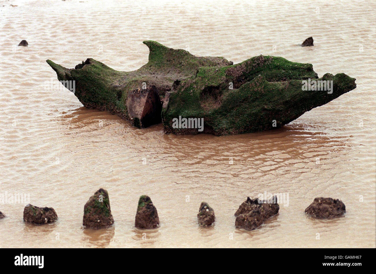 Holme next the sea oak hi-res stock photography and images - Alamy