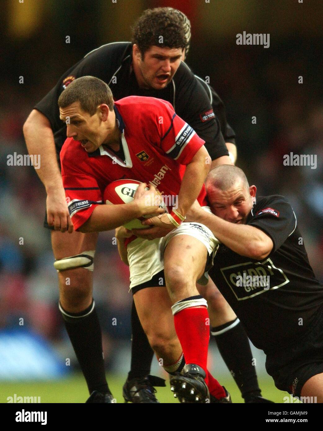 Rugby Union - Celtic League - Final - Munster v Neath Stock Photo - Alamy