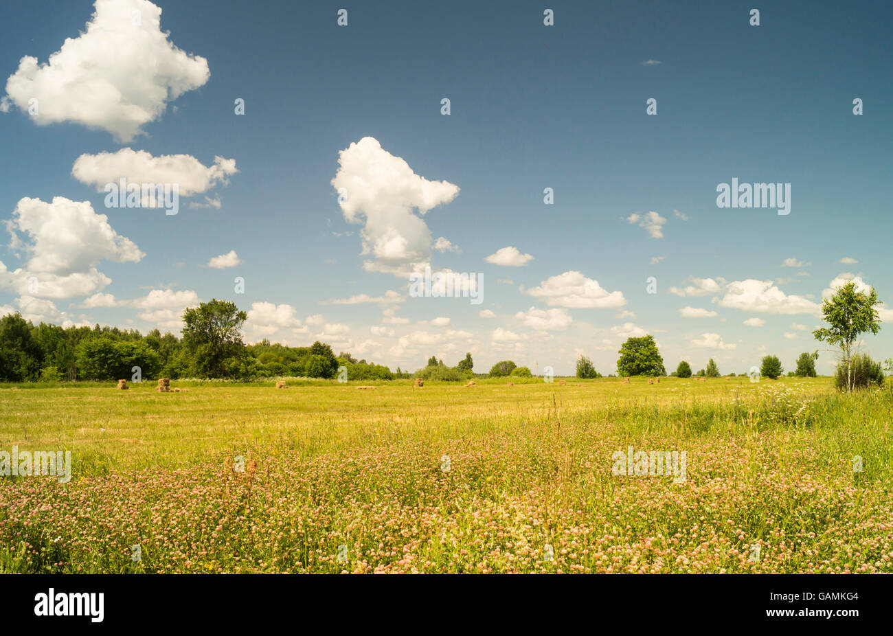 Year rural landscape on background blue sky with white cloud Stock ...