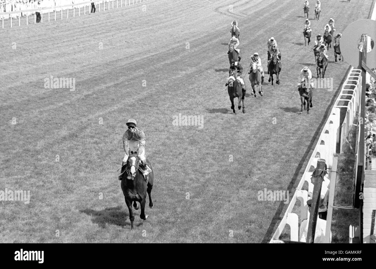 Shergar horse derby hi-res stock photography and images - Alamy