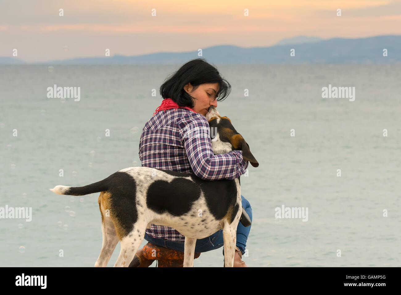 Love and friendship between a woman dog owner and her dog against the ...