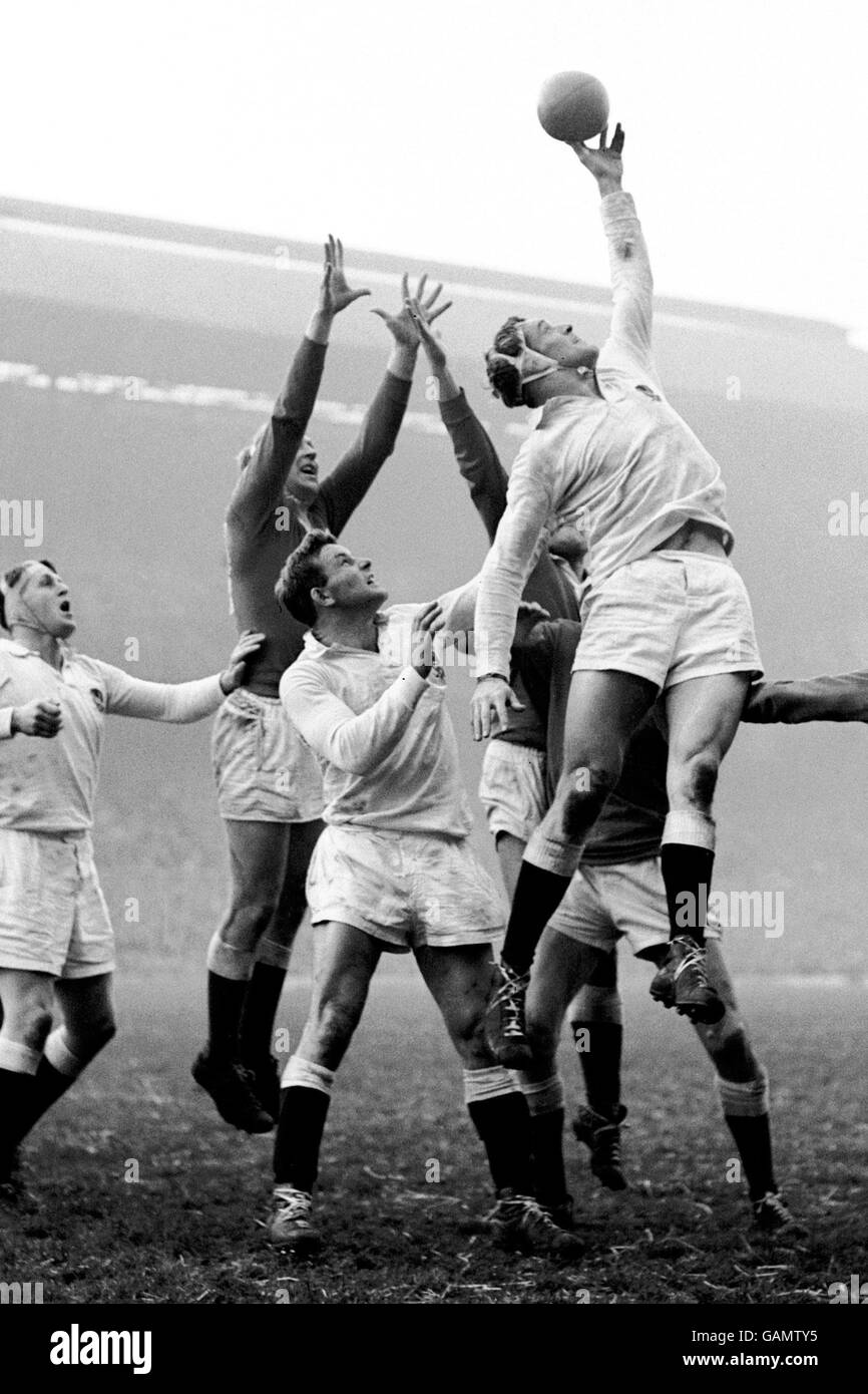 David marques hi-res stock photography and images - Alamy