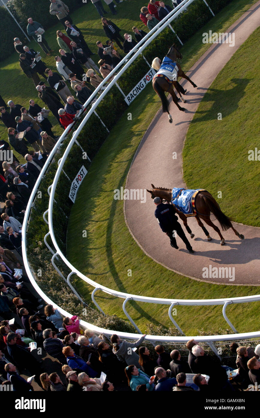 General paddock hi-res stock photography and images - Alamy