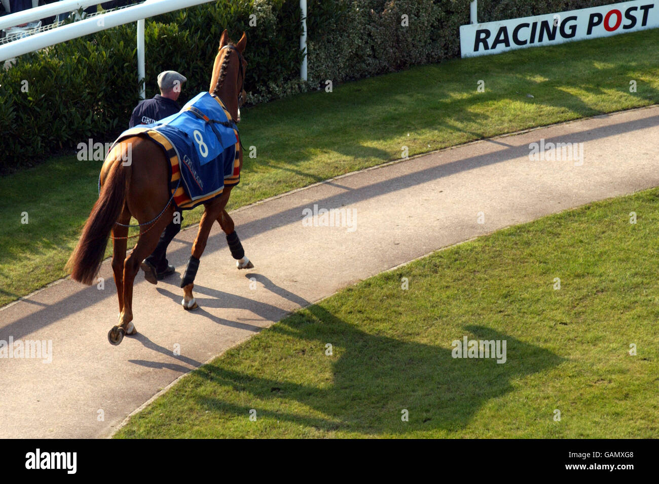 Horse Racing - Kempton Races. Horses are paraded around the paddock ...