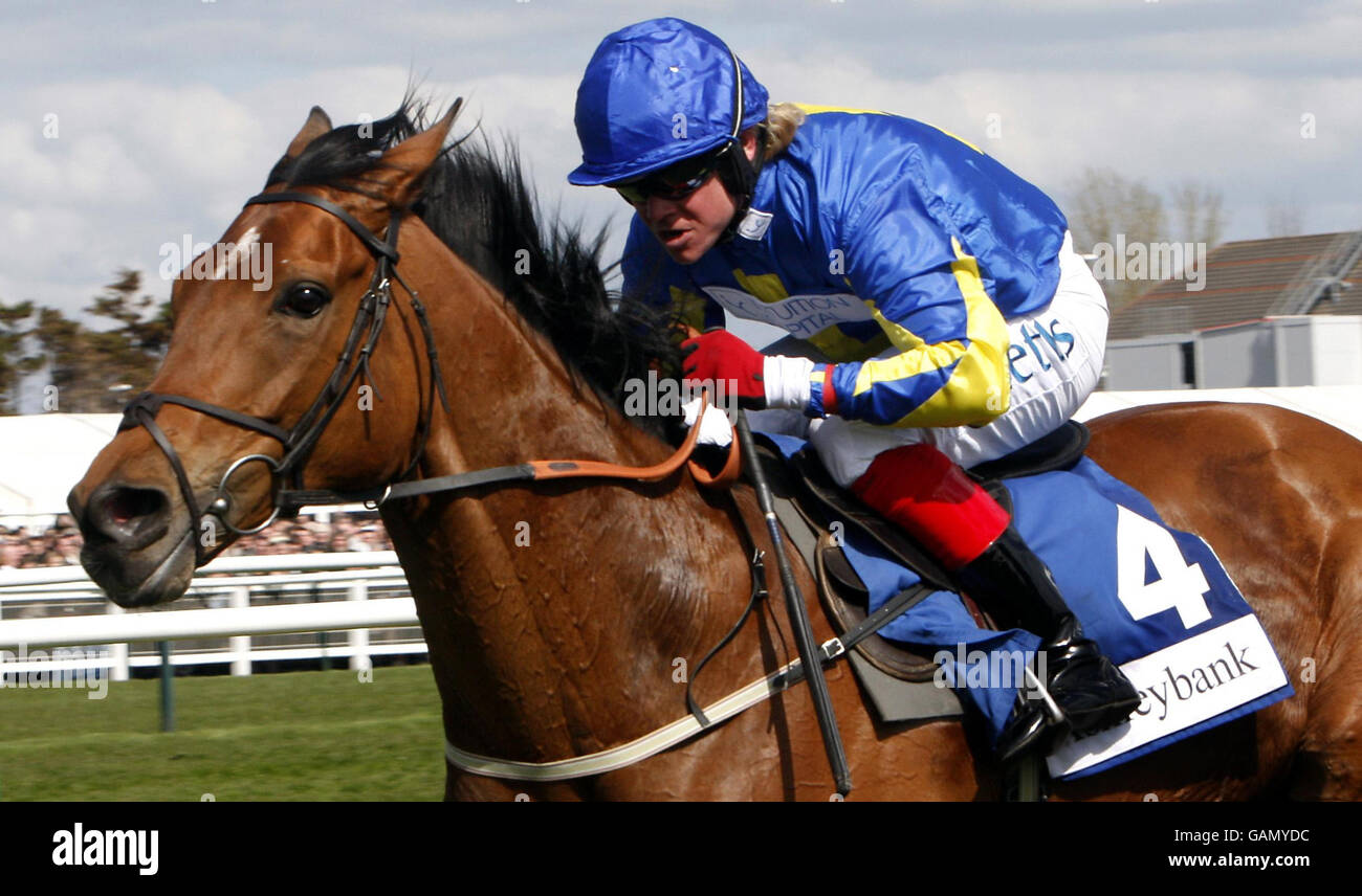 Scottish grand national winner hi-res stock photography and images - Alamy