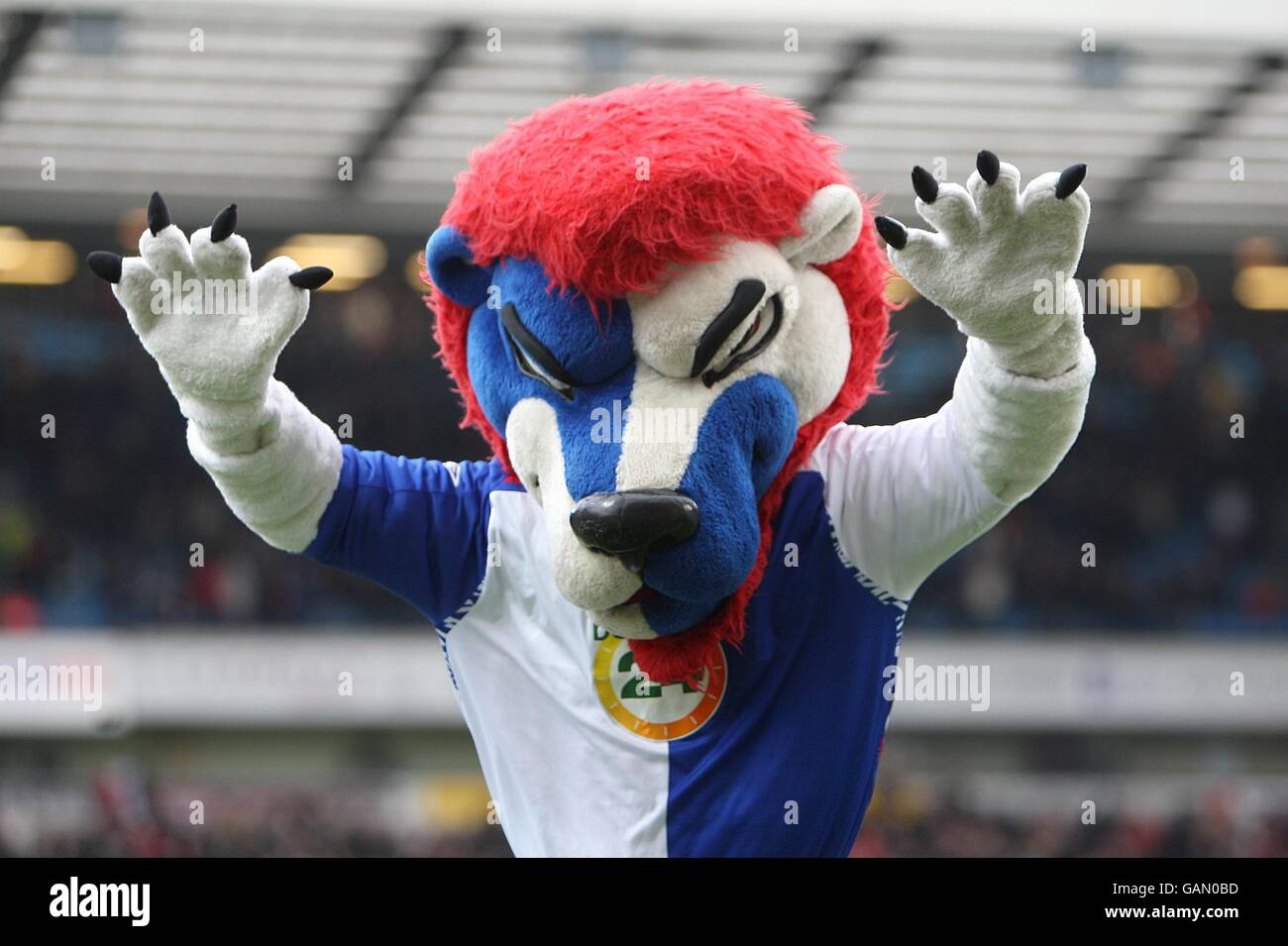 Roar lion hi-res stock photography and images - Alamy