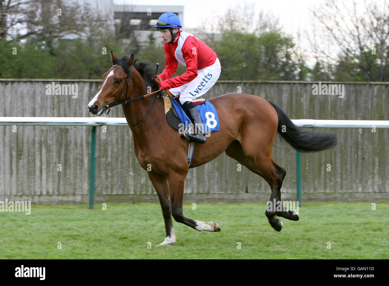 Horse Racing - Spring Construction Raceday - Nottingham Racecourse ...