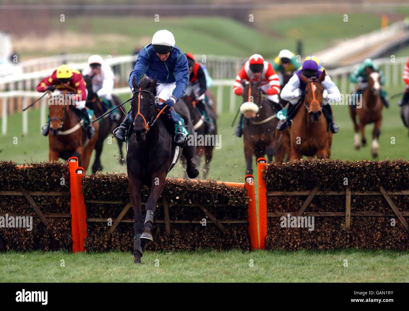 Back in front cheltenham hi-res stock photography and images - Alamy