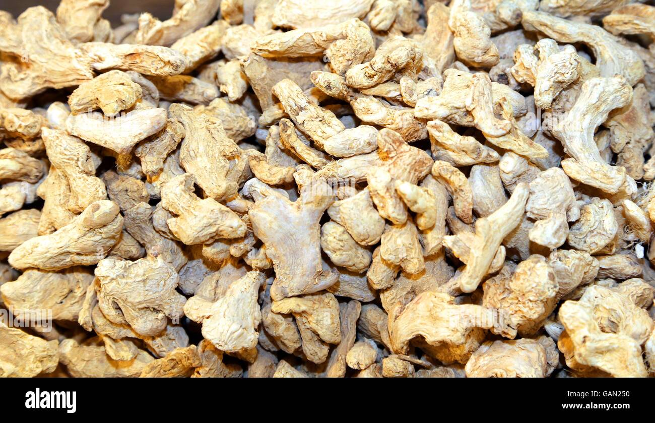 Japanese root plant hi-res stock photography and images - Alamy