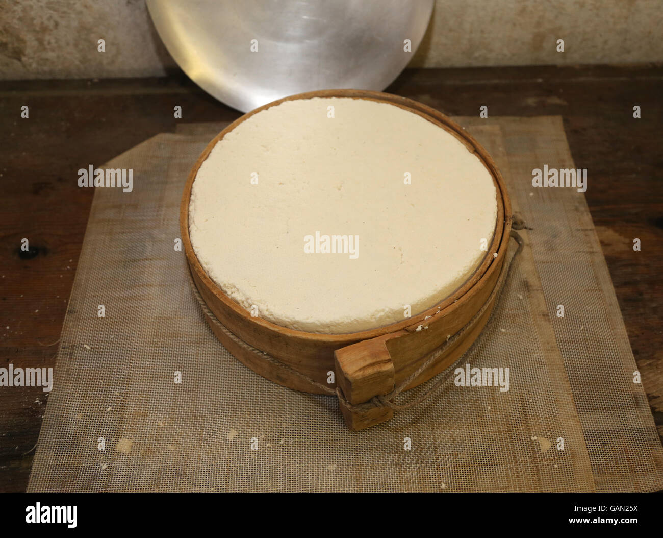 Mold and cheesemaking hi-res stock photography and images - Alamy