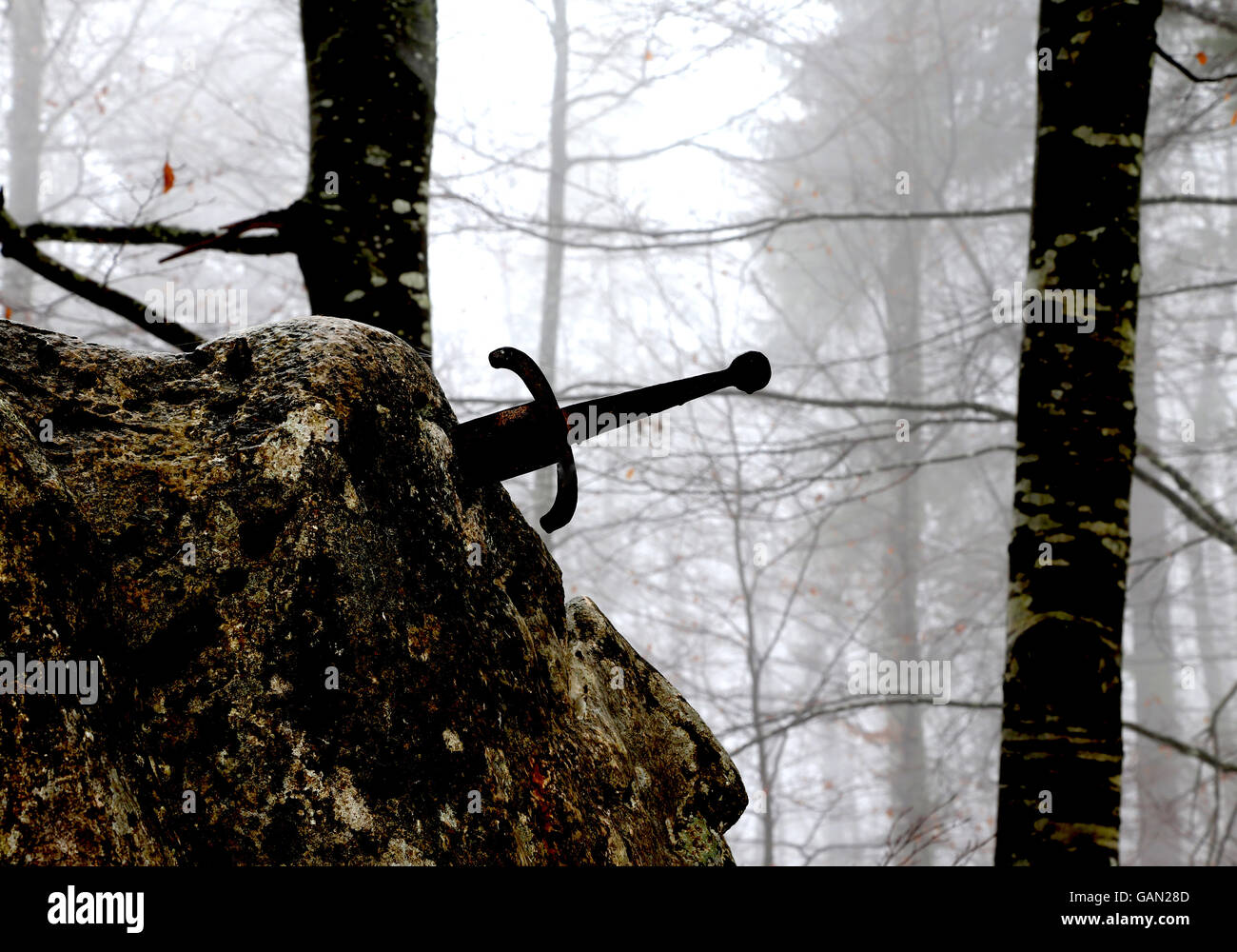 legendary Excalibur sword into the stone in the middle of the forest in ...