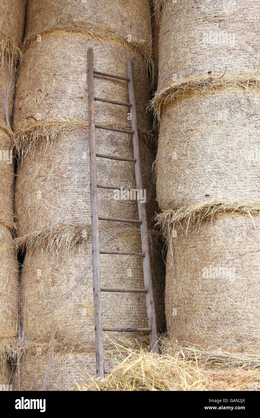 High barn farm hi-res stock photography and images - Alamy