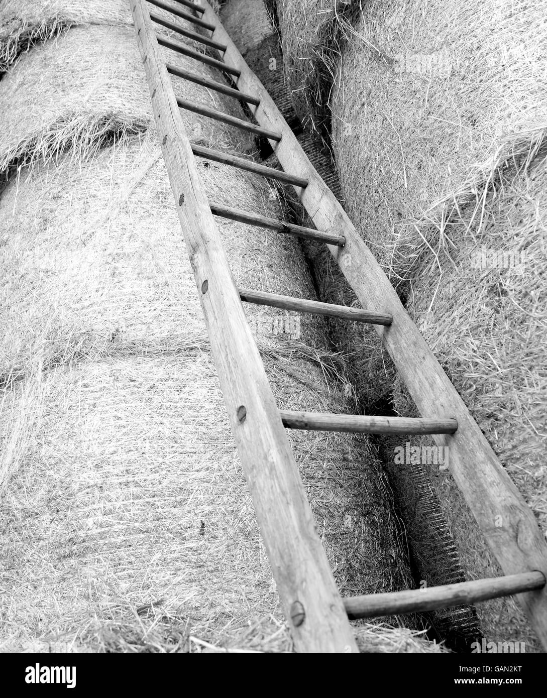 Warehouse ladder hi-res stock photography and images - Alamy