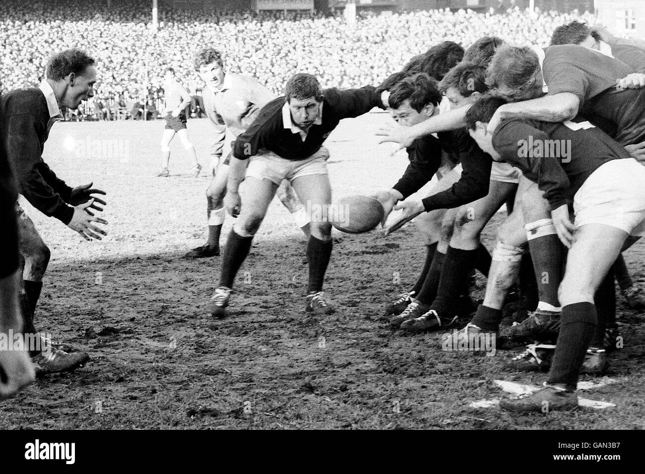 Rugby Union - Five Nations Championship - Wales v Scotland. Scotland's ...