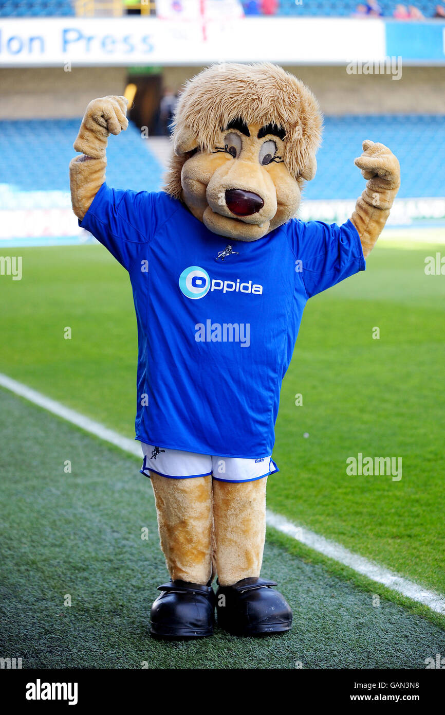 Millwall mascot zampa lion hi-res stock photography and images - Alamy