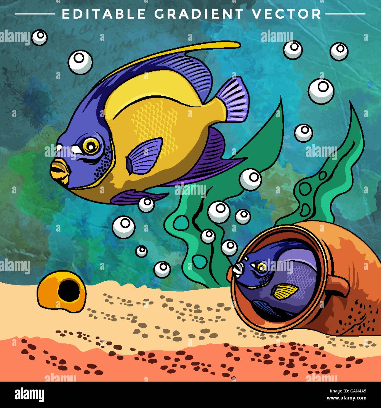 Angelfish painting Stock Vector Images - Alamy