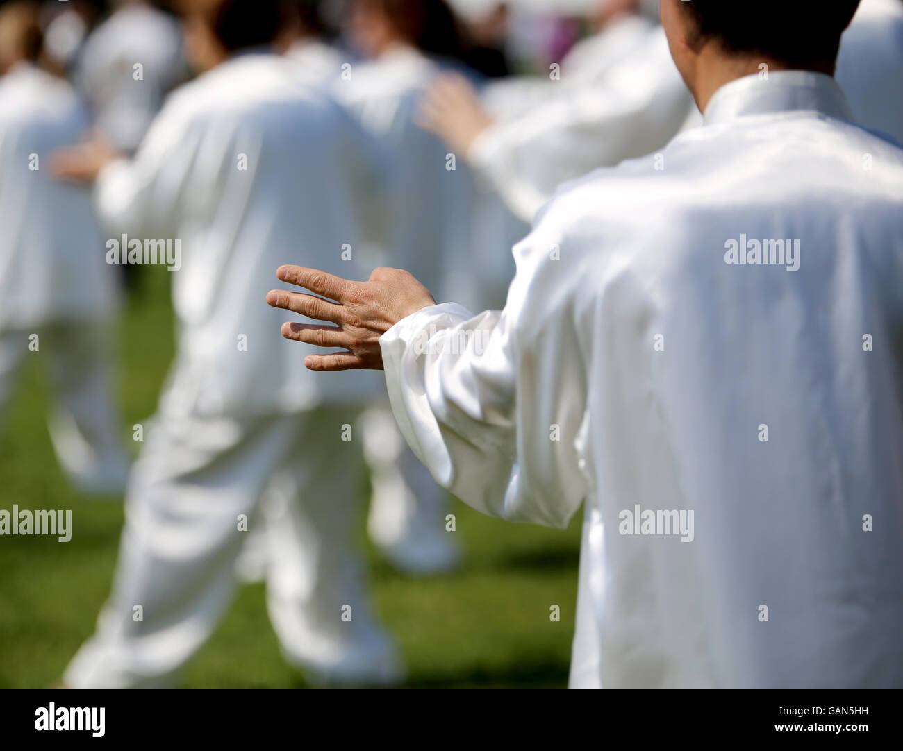 Martial Arts With A Fan at Carlo Simmons blog