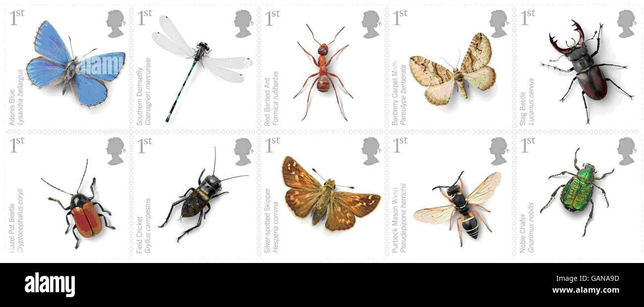 Royal Mail new Insect stamp series Stock Photo - Alamy