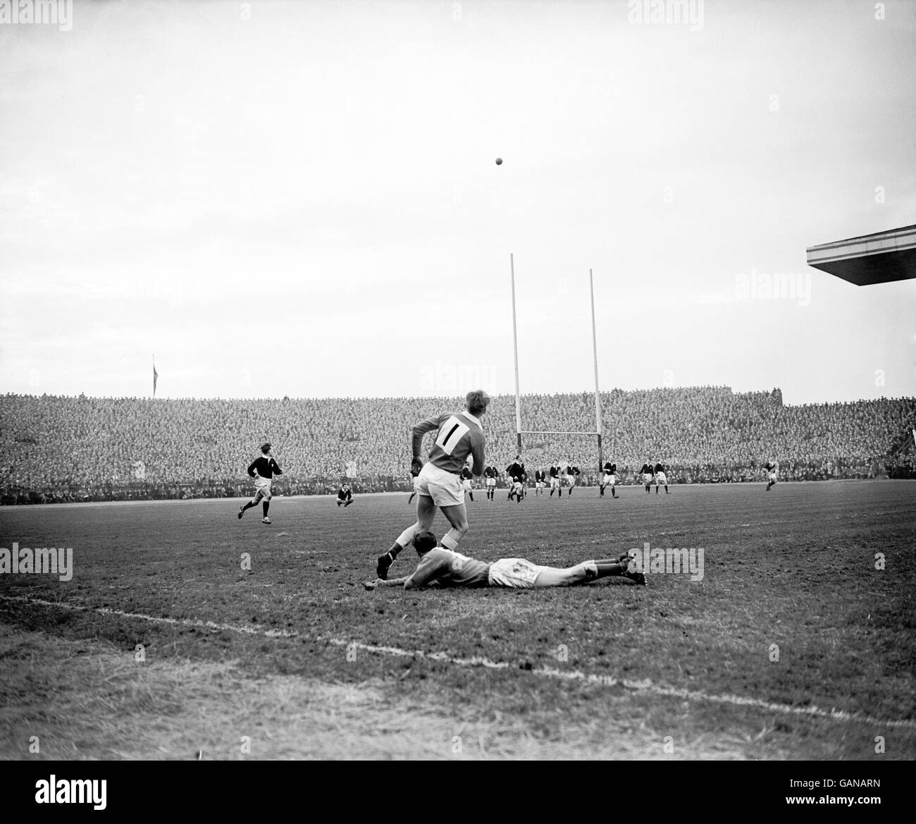 Terry davies rugby hi-res stock photography and images - Alamy