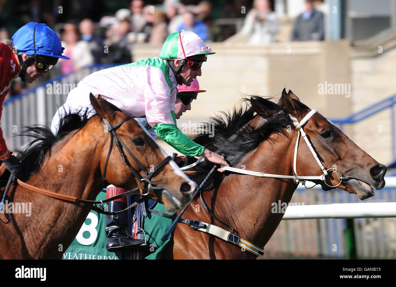 Horse Racing - Craven Meeting - Newmarket Stock Photo - Alamy