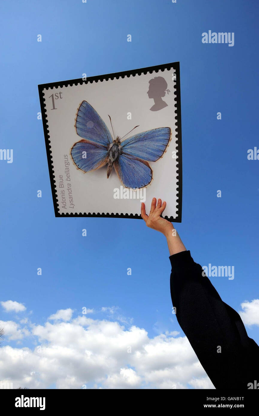 Staff at the Butterfly farm show off new insect stamps. The set ...