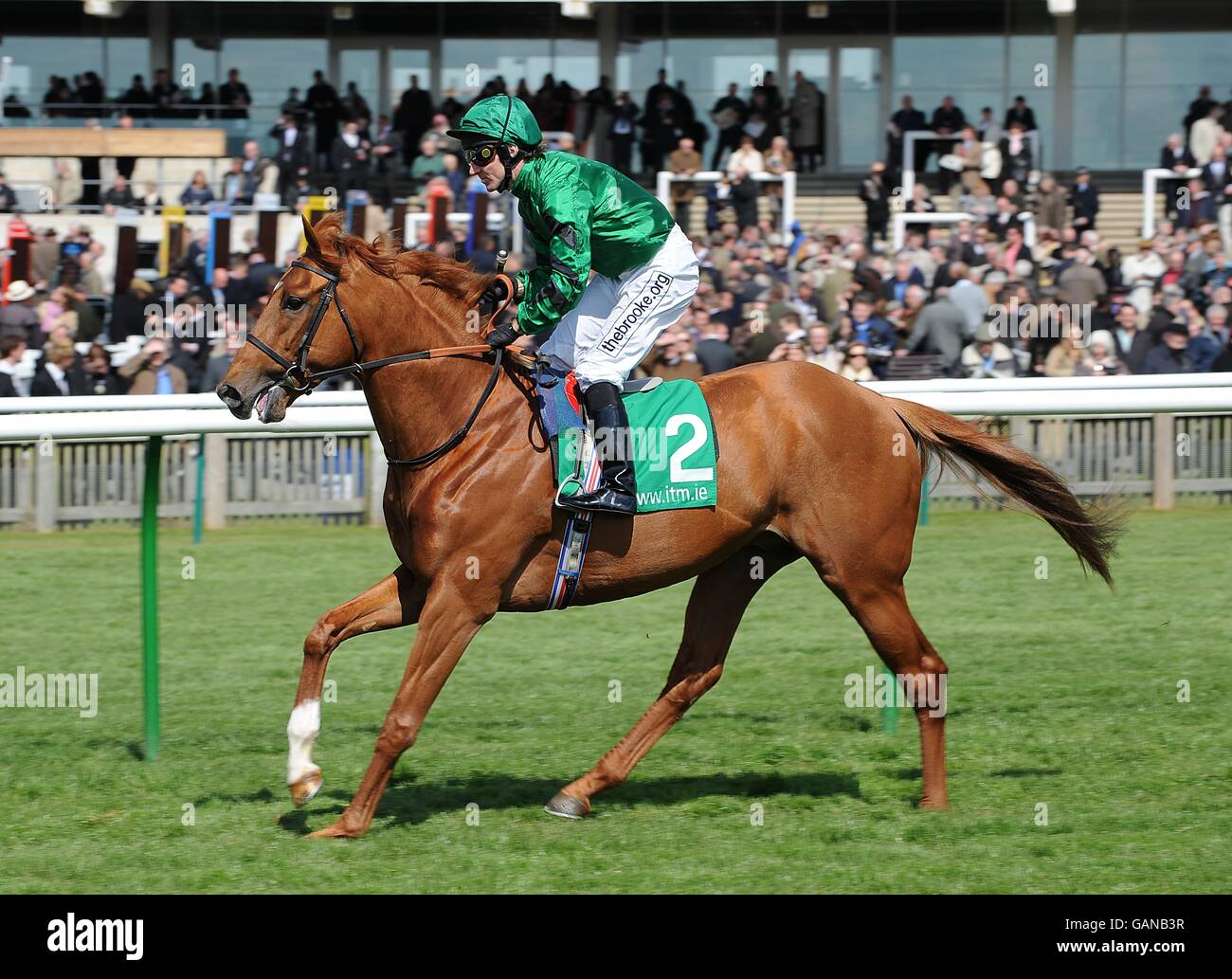 De Facto ridden by Jimmy Fortune prior to the Irish Thoroughbred ...