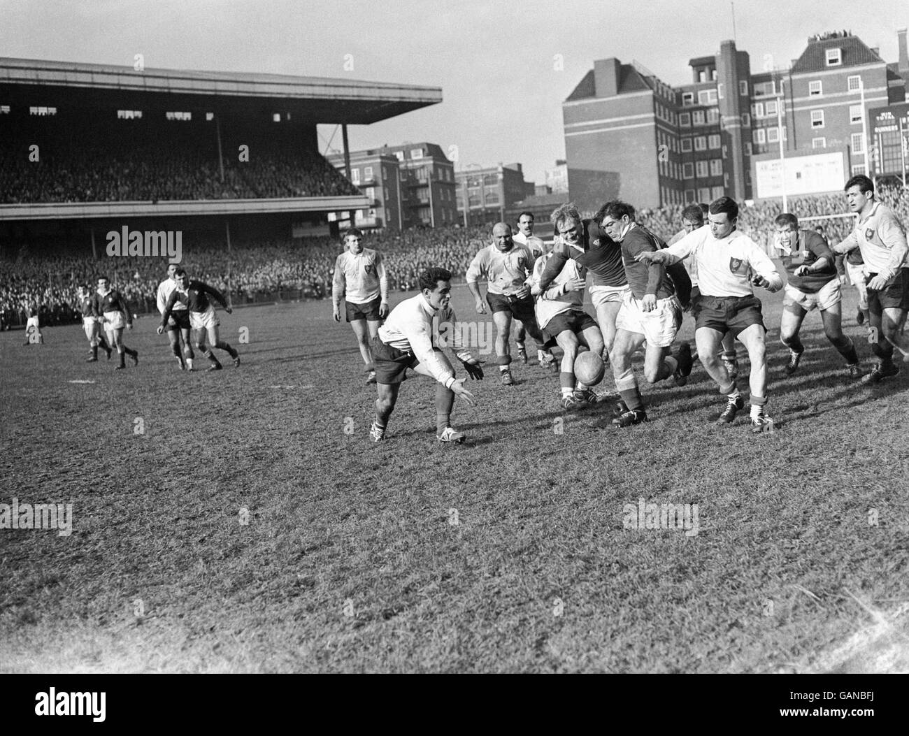 Bryn meredith hi-res stock photography and images - Alamy