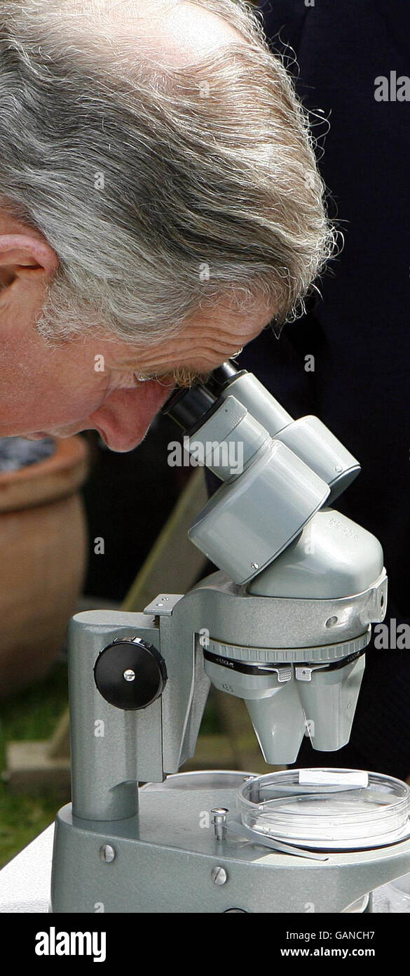 Inspects specimen under microscope hi-res stock photography and images ...