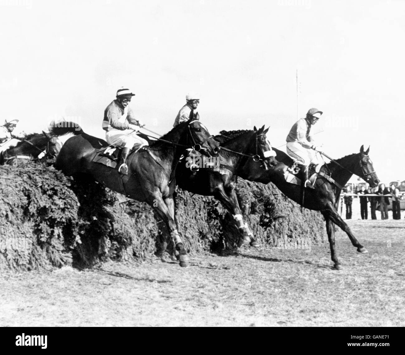 (R-L) Rough and Tumble, Johnny Francome up, leads Zongalero, BR Davies ...