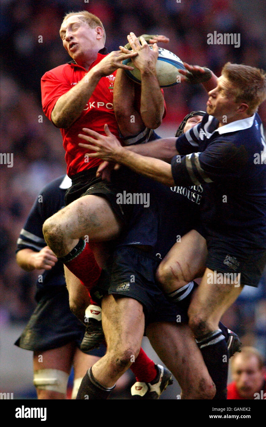 Tom taylor rugby hi-res stock photography and images - Alamy