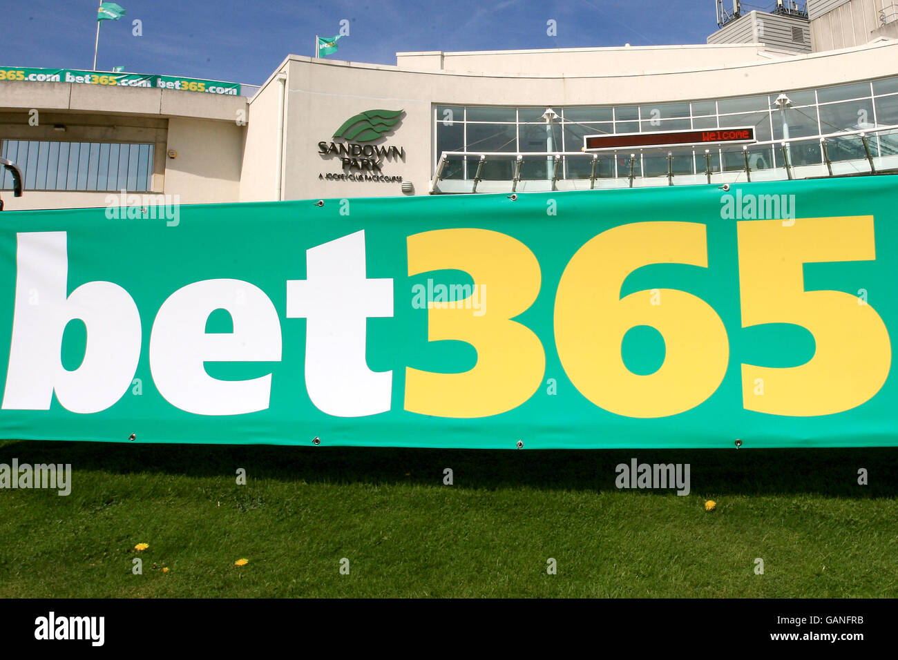 Horse racing bet365 board hi-res stock photography and images - Alamy