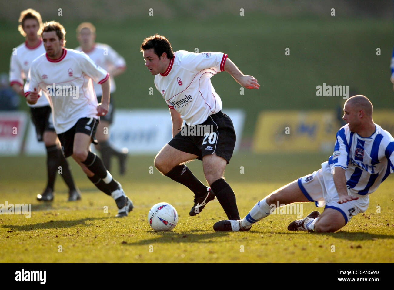 Danny cullip forest hi-res stock photography and images - Alamy