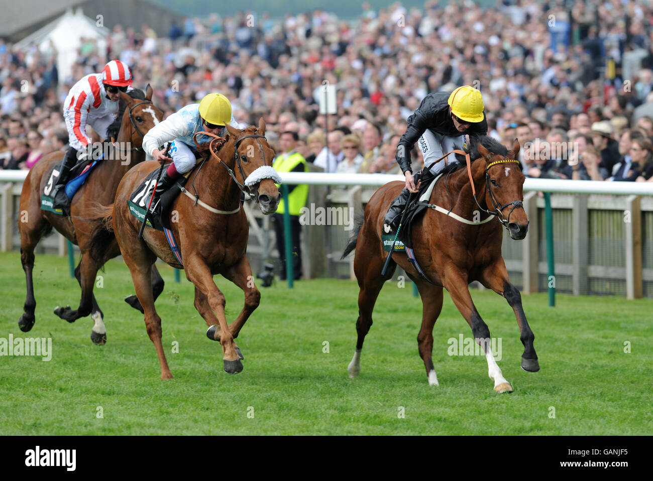 Riden william hi-res stock photography and images - Alamy