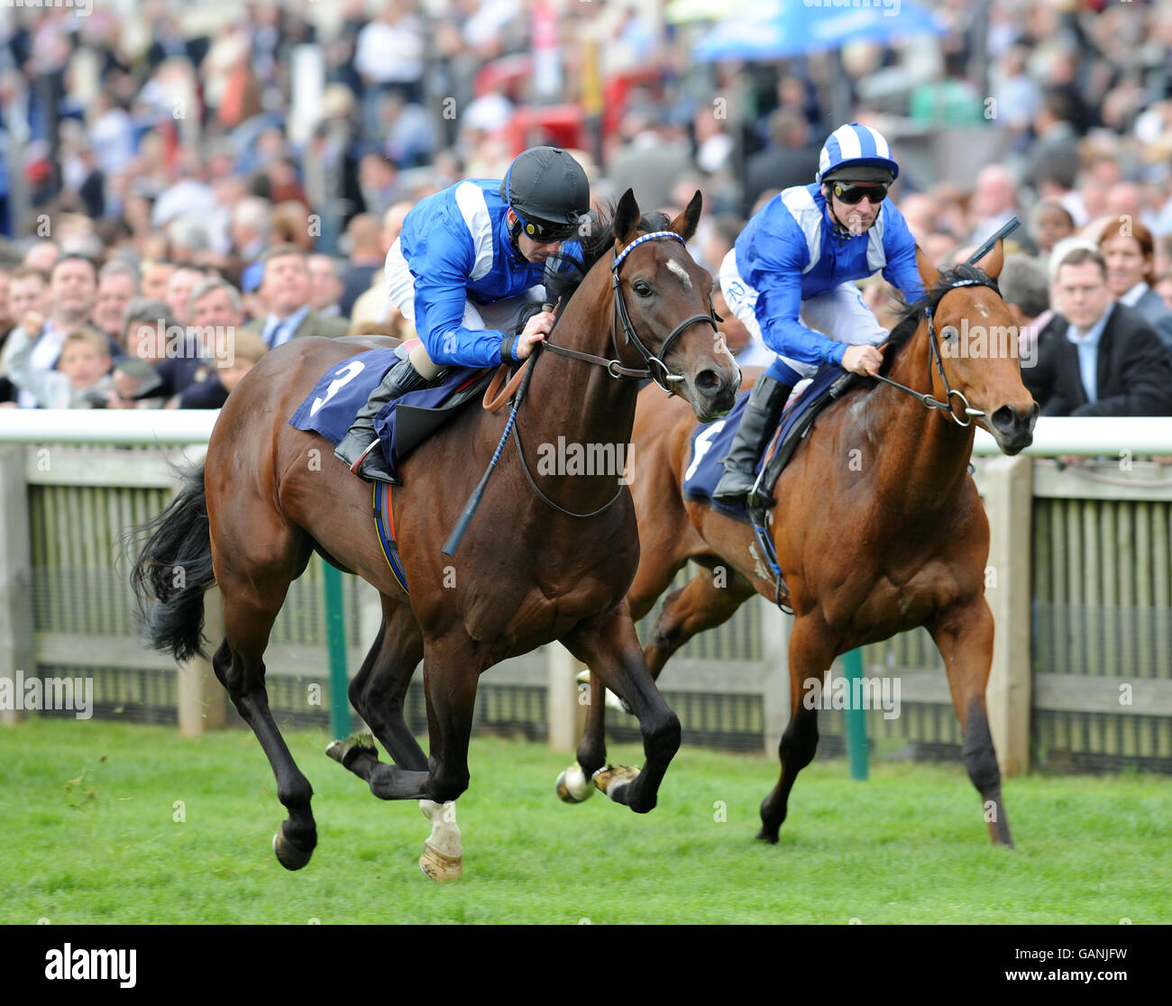Newmarket racing hills dwyer hi-res stock photography and images - Alamy