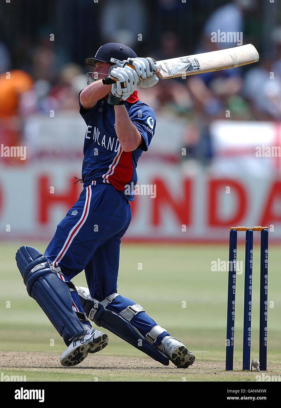 2003 namibia hi-res stock photography and images - Alamy