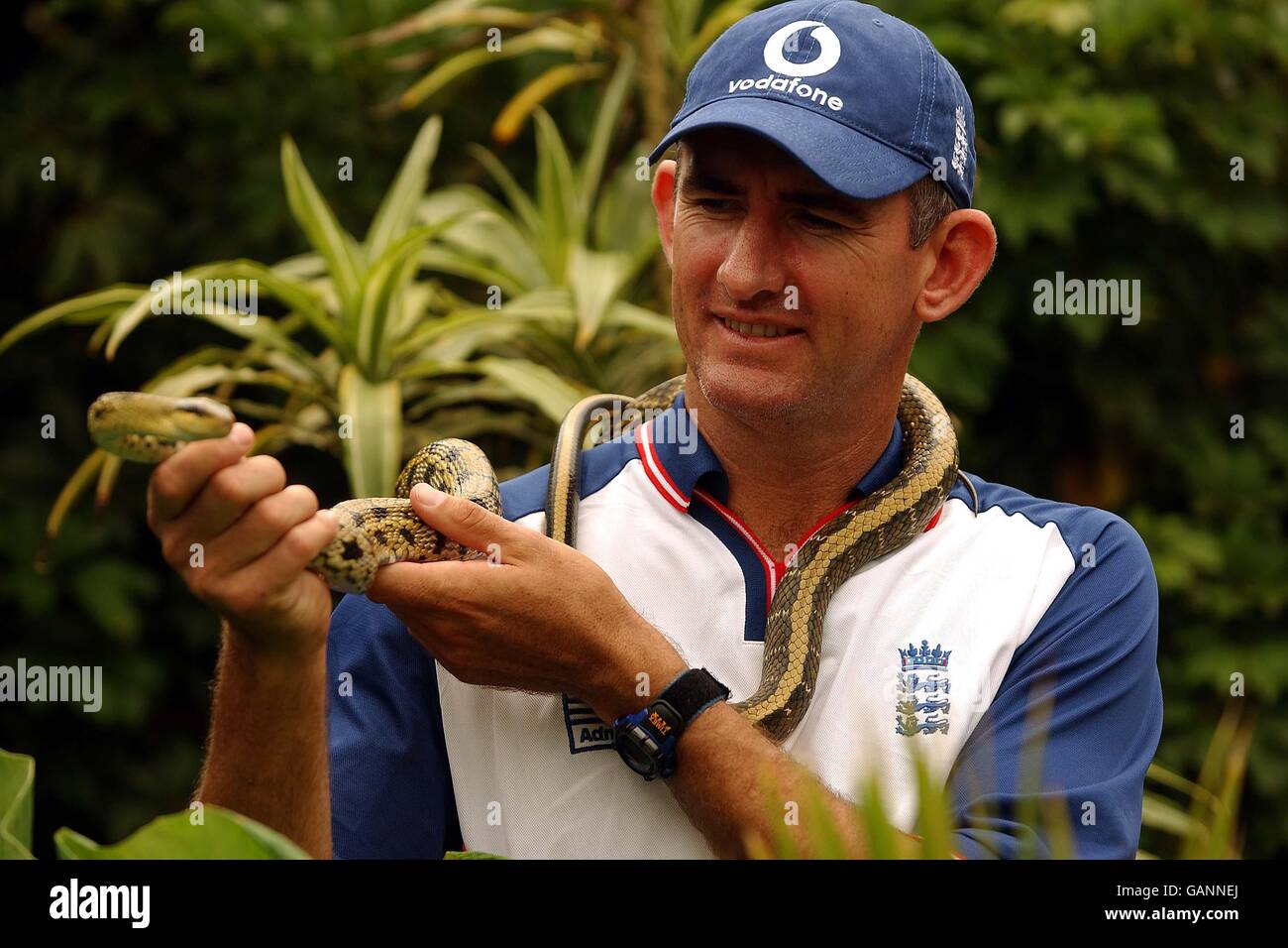 Cricket - World Cup 2003 Stock Photo - Alamy