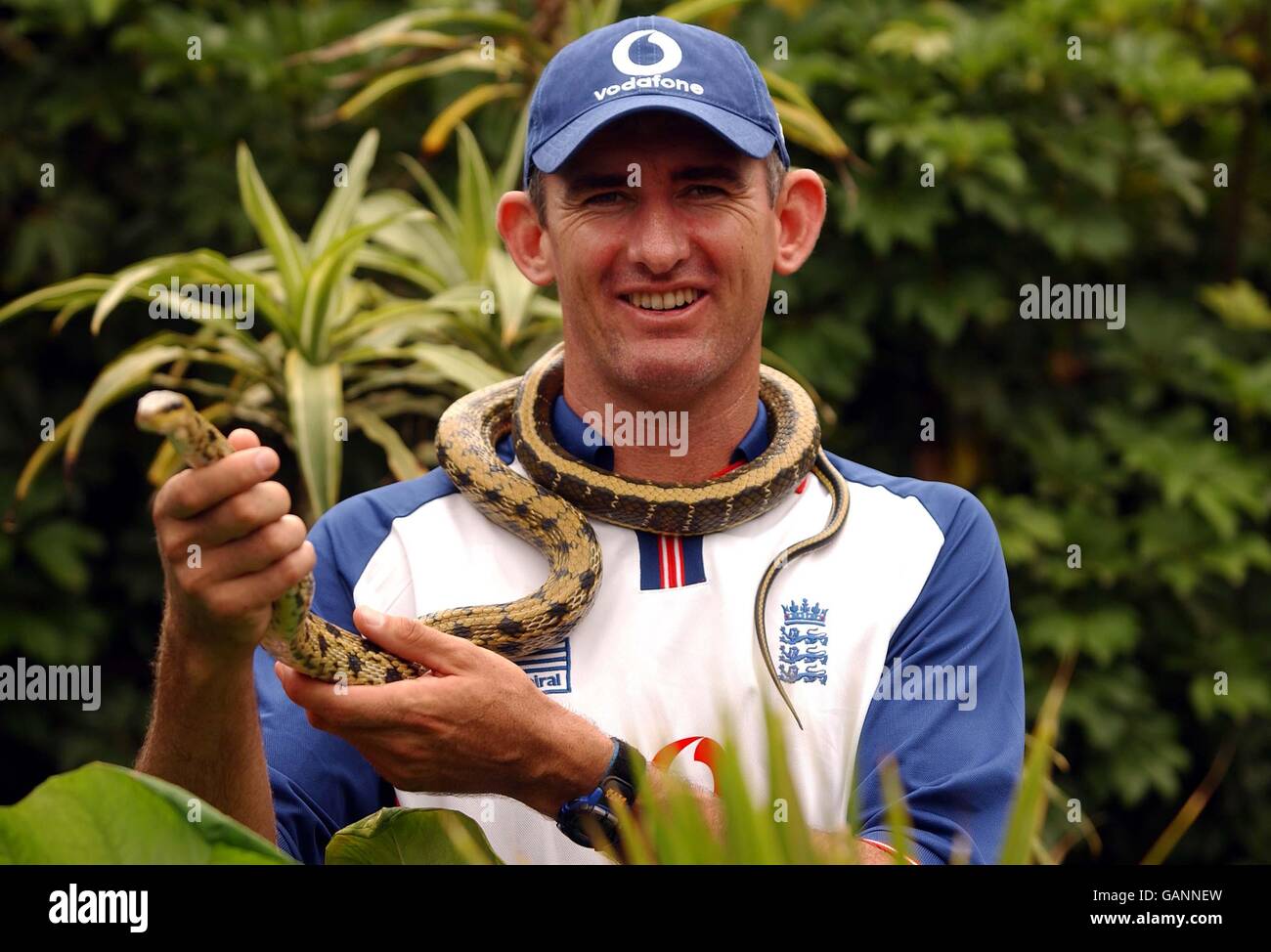 England's Andrew Caddick holds a Taiwanese Rat Snake at the Fitzsimons ...