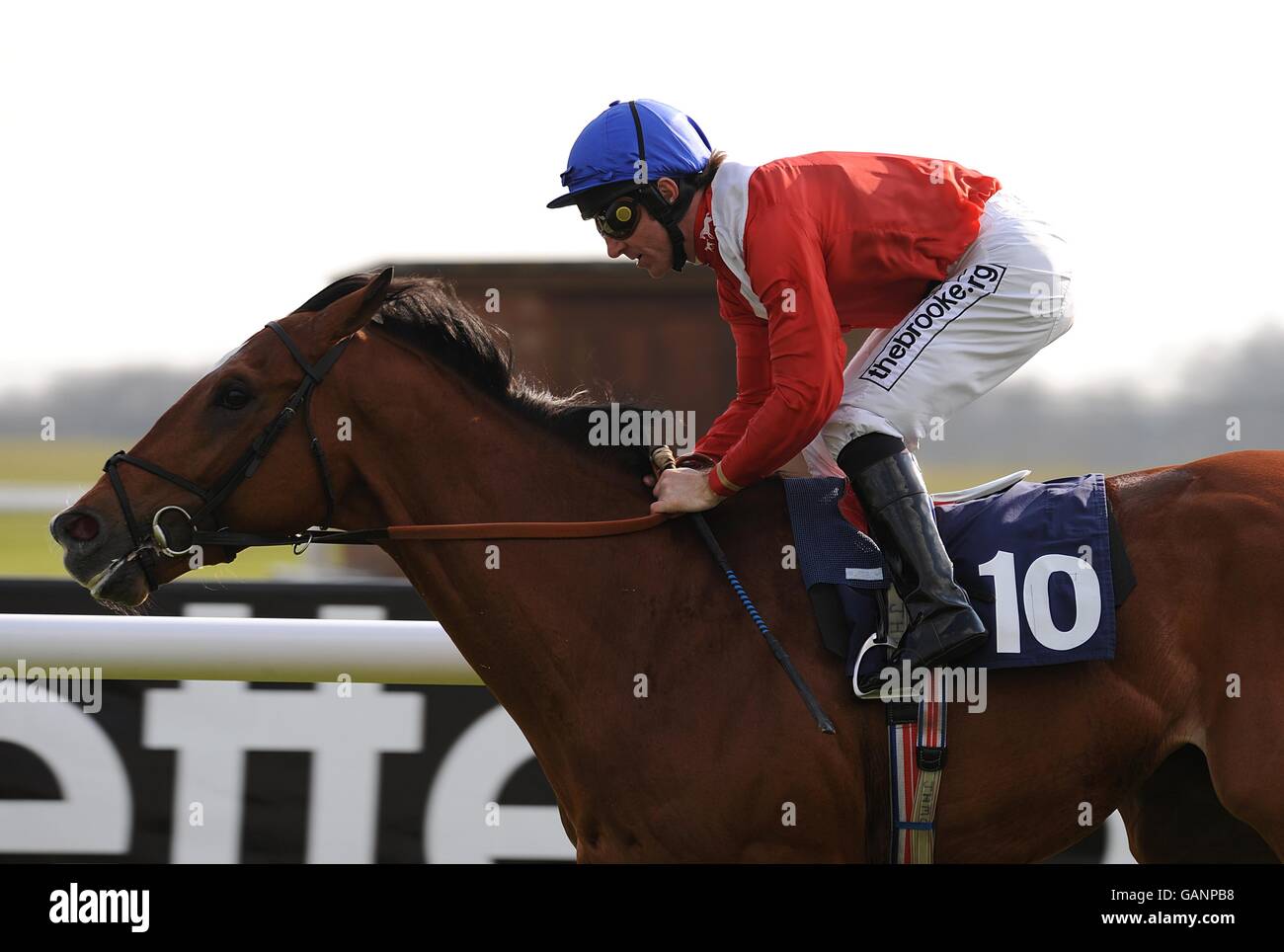 Winning alex scott maiden stakes hi-res stock photography and images ...