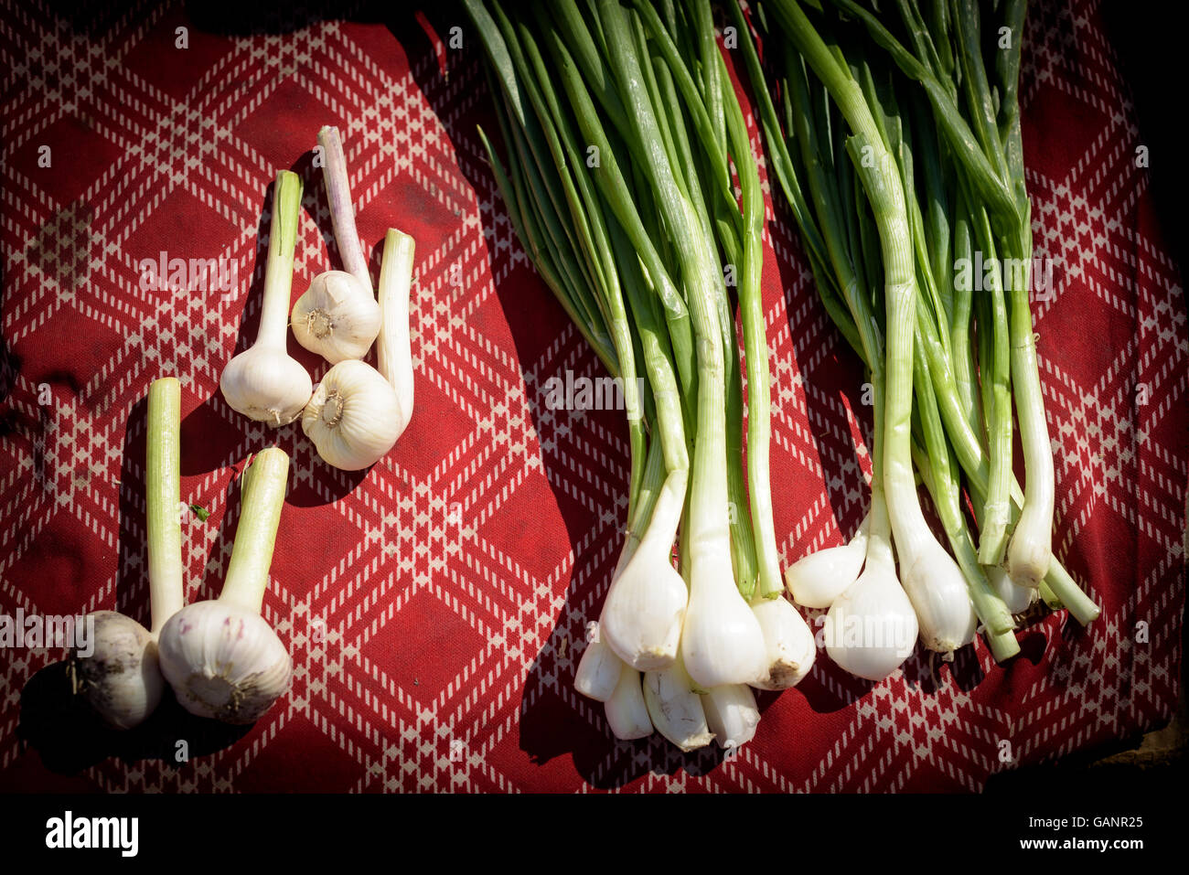 Red garlic bulbs hi-res stock photography and images - Alamy
