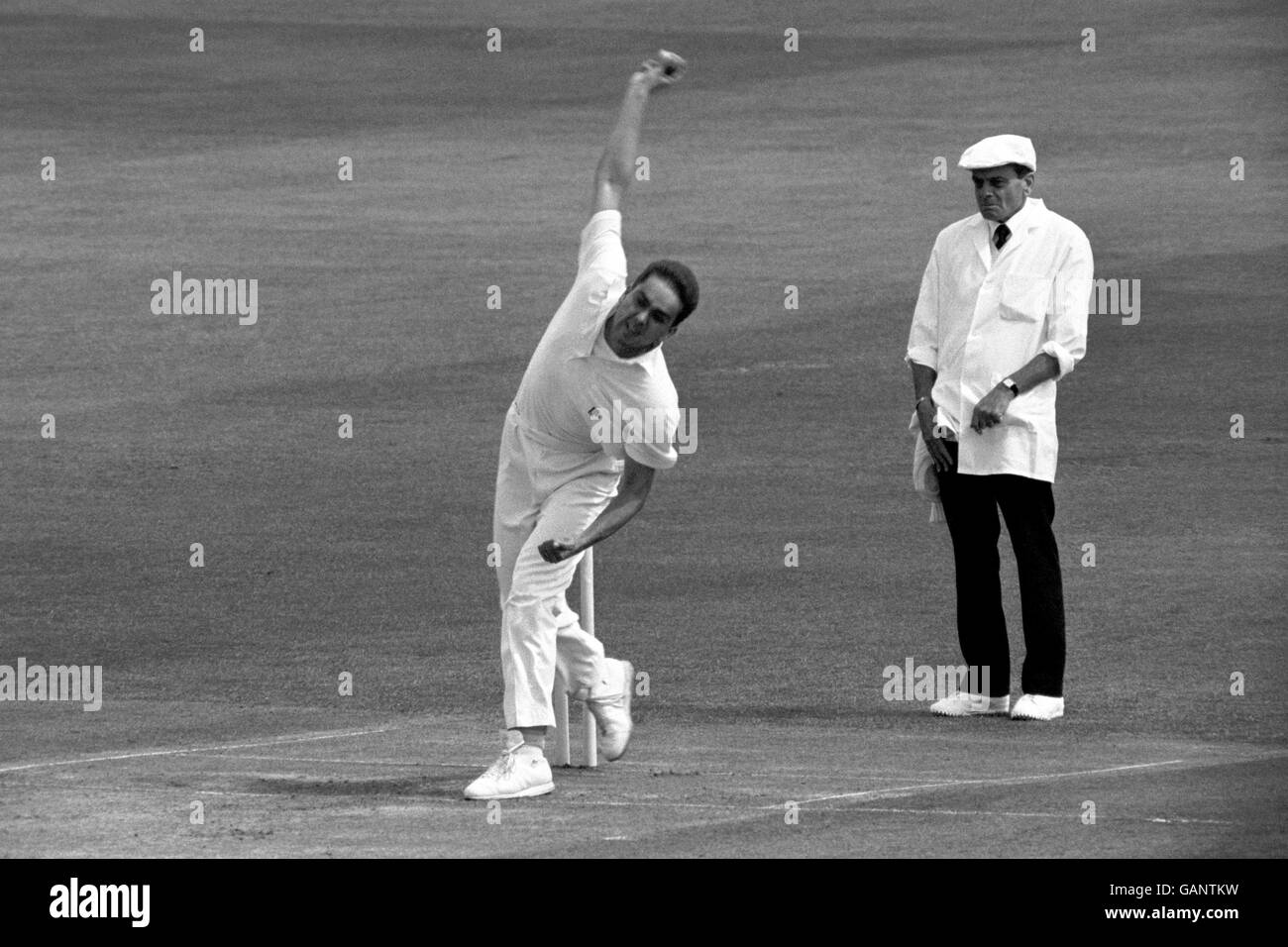 Bird who does not fly Black and White Stock Photos & Images - Alamy