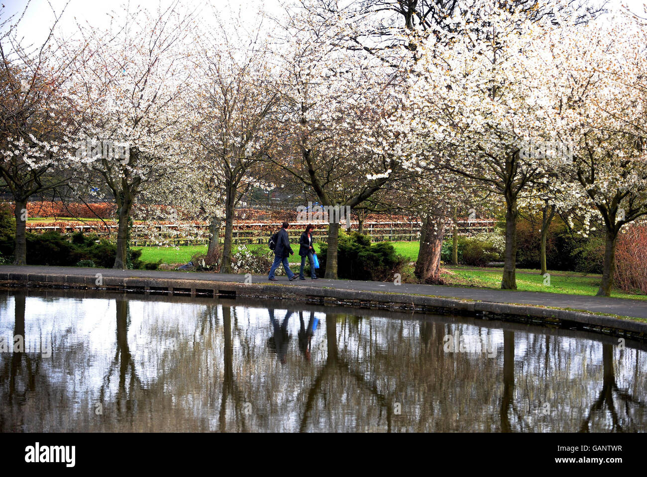 Spring on the way at last Stock Photo - Alamy