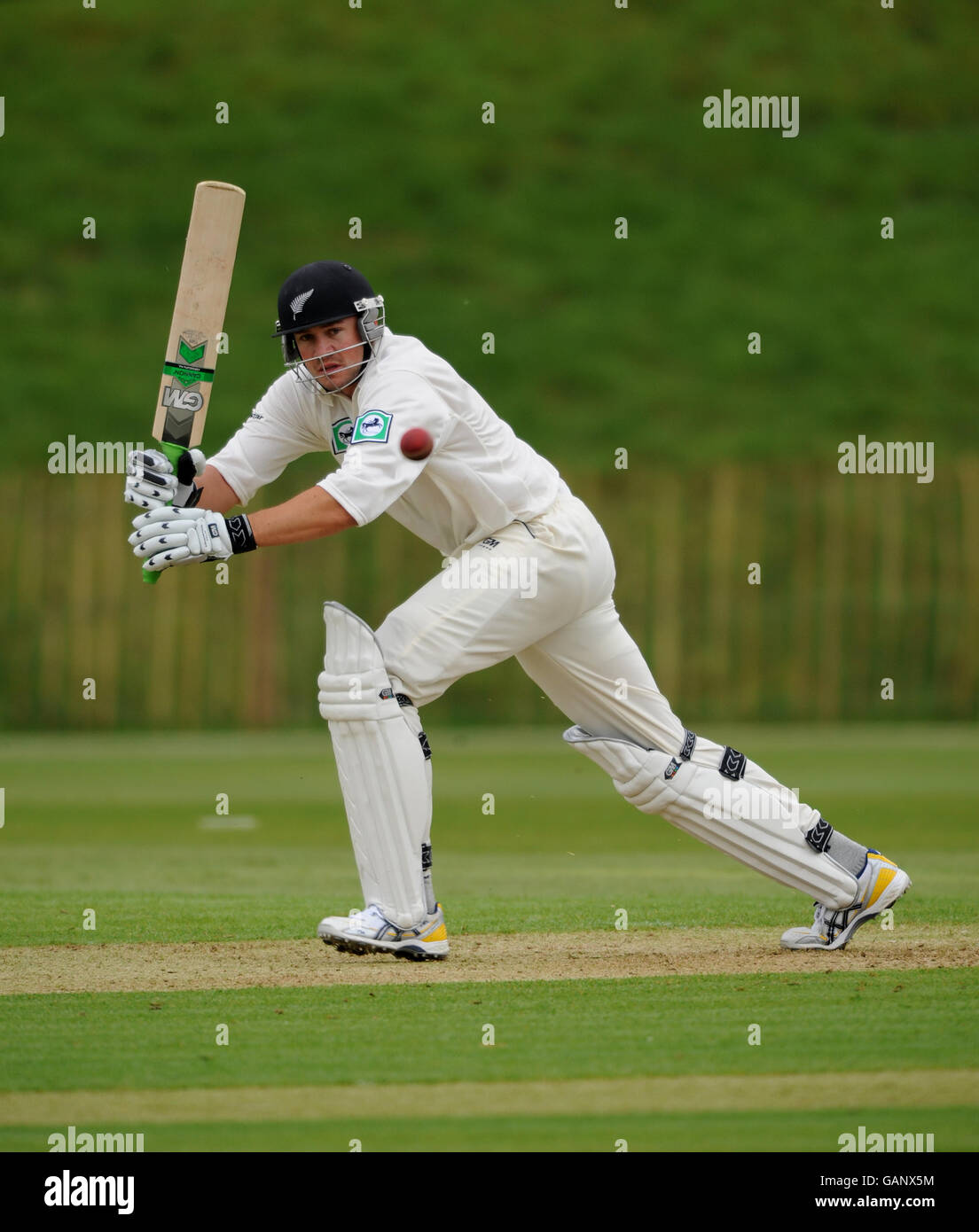 Cricket - MCC v New Zealand - Arundel. New Zealand's Peter Fulton Stock ...