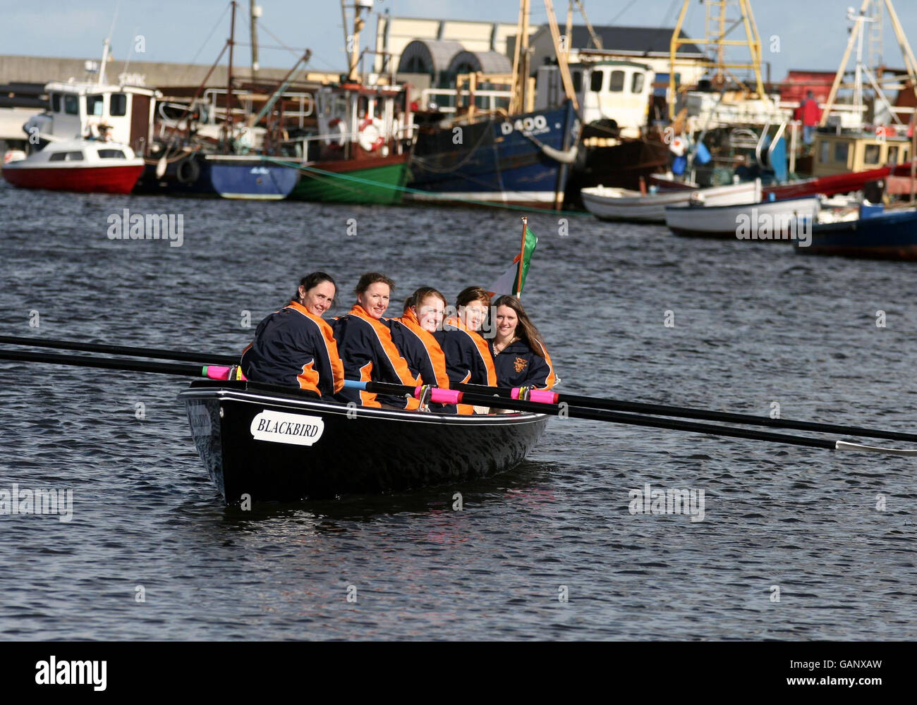Celtic Challenge rowing race Stock Photo - Alamy